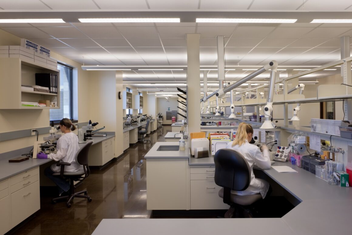 Texas Department of Public Safety | Structure and Role as State Police