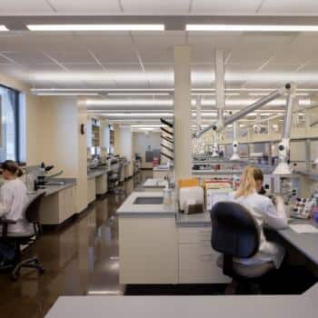 Texas Department of Public Safety | Structure and Role as State Police