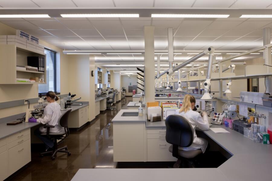 Texas Department of Public Safety | Structure and Role as State Police