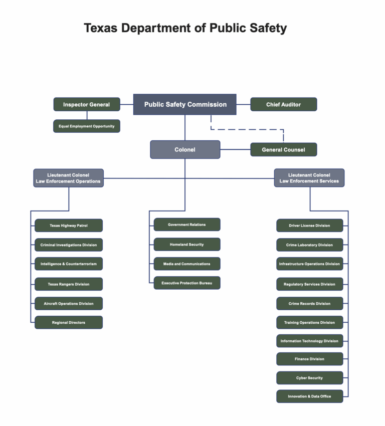Overview of the Texas Law Enforcement System [2025]