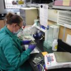 Texas Department of Public Safety | Structure and Role as State Police