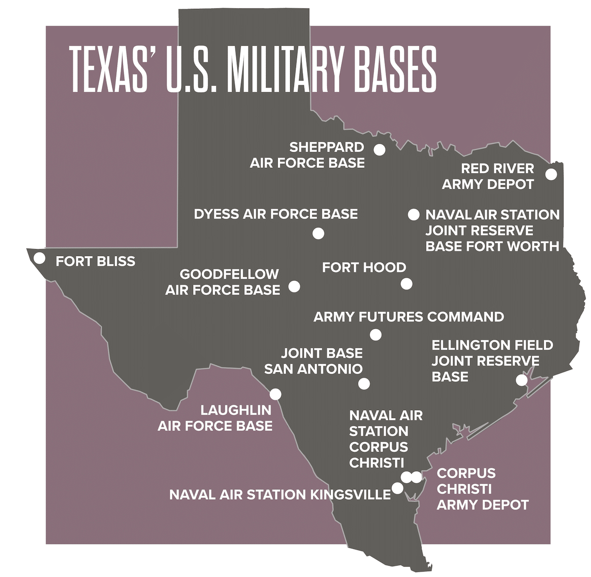 Military Forces of Texas (National Guard)