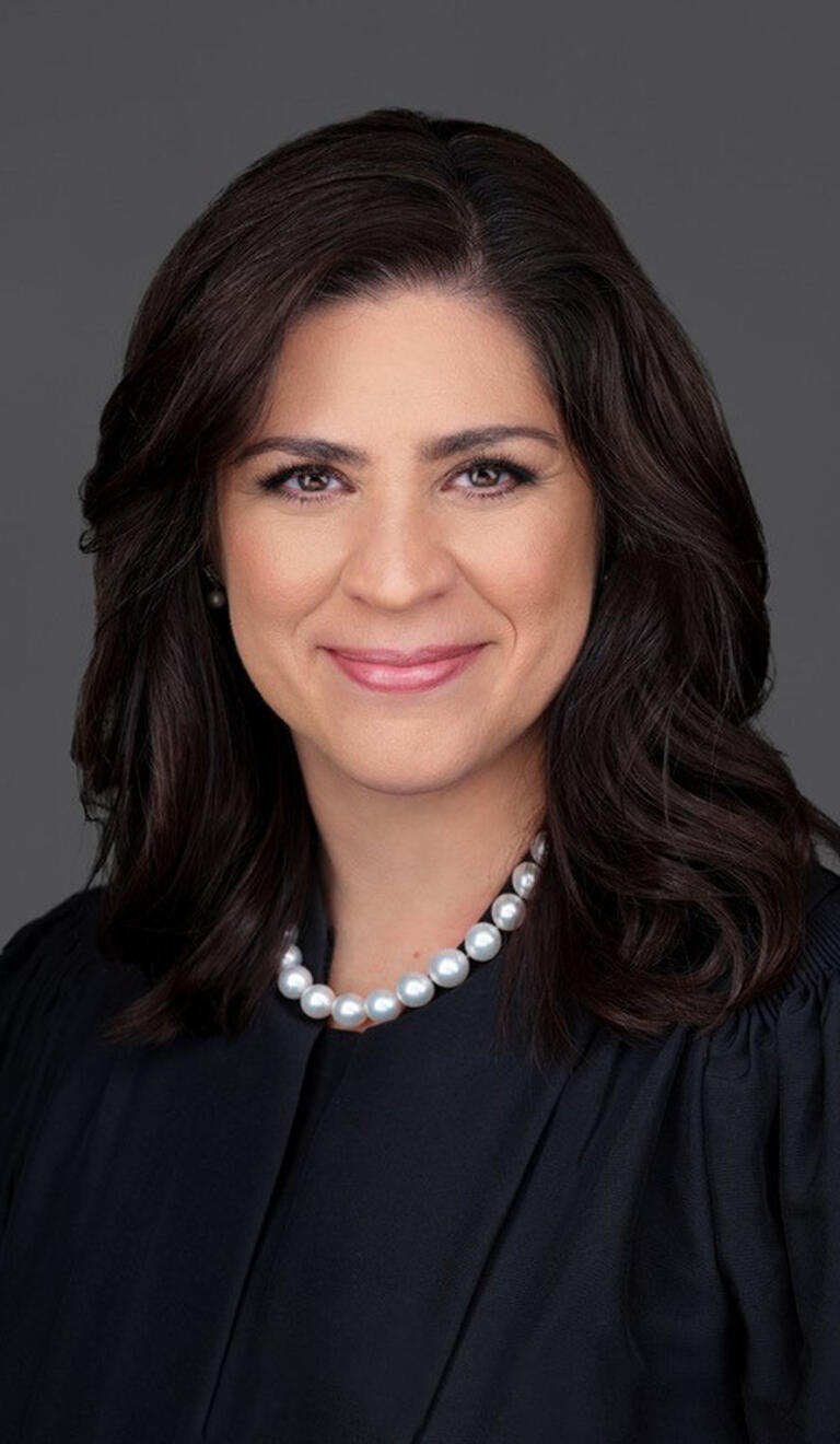 Inside the Texas Supreme Court: Structure, Jurisdiction, Procedures [2025]