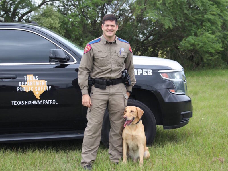 Texas Department of Public Safety | Structure and Role as State Police