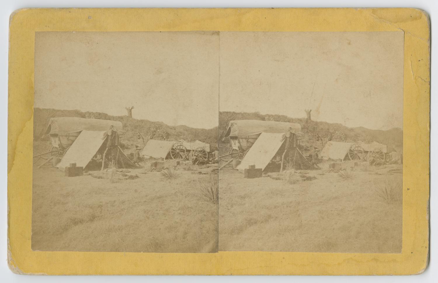 The Great Bison Slaughter of the 1870s | Ecological & Political History