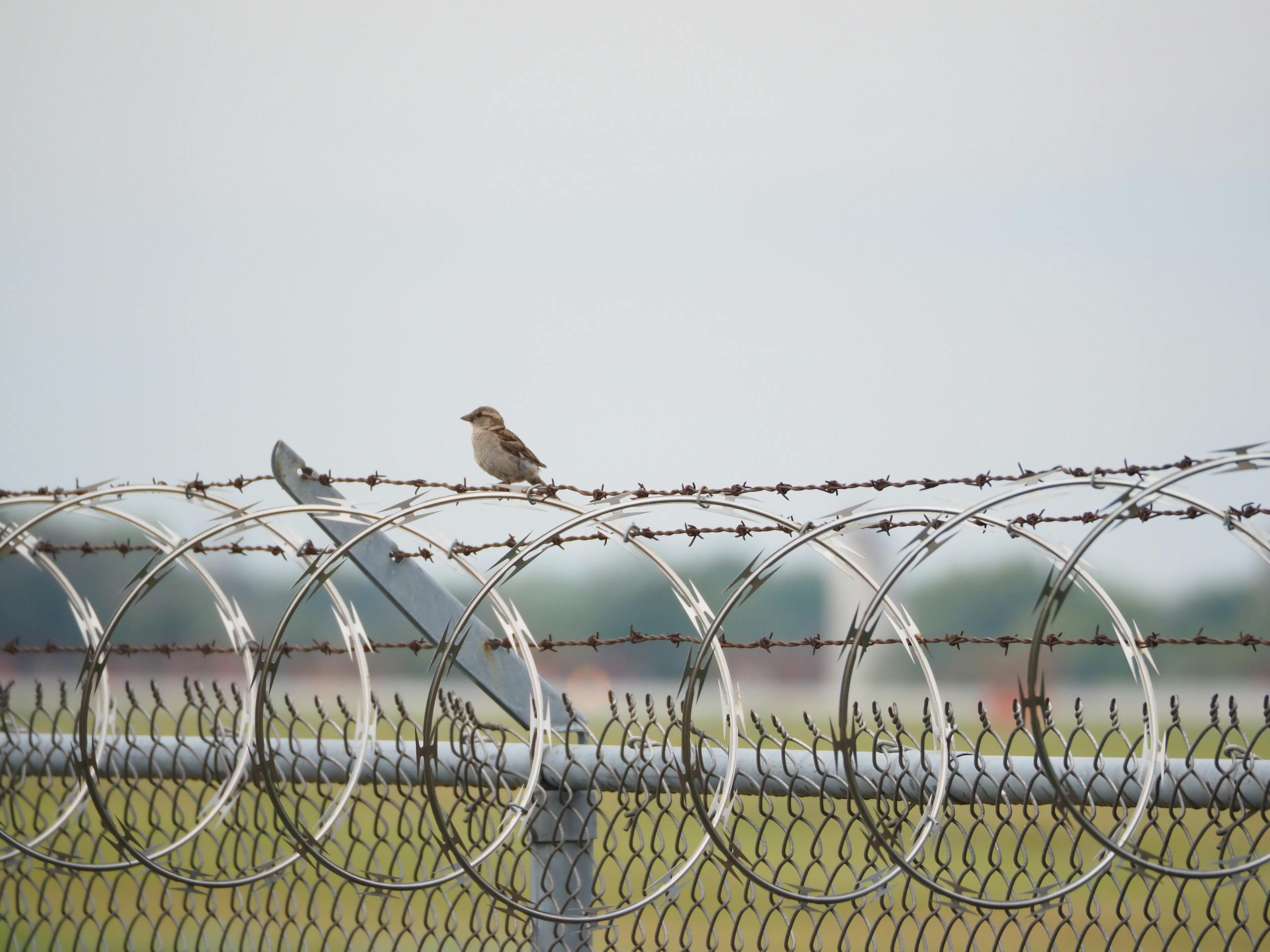 Summary of the Texas Penal Code | Texapedia